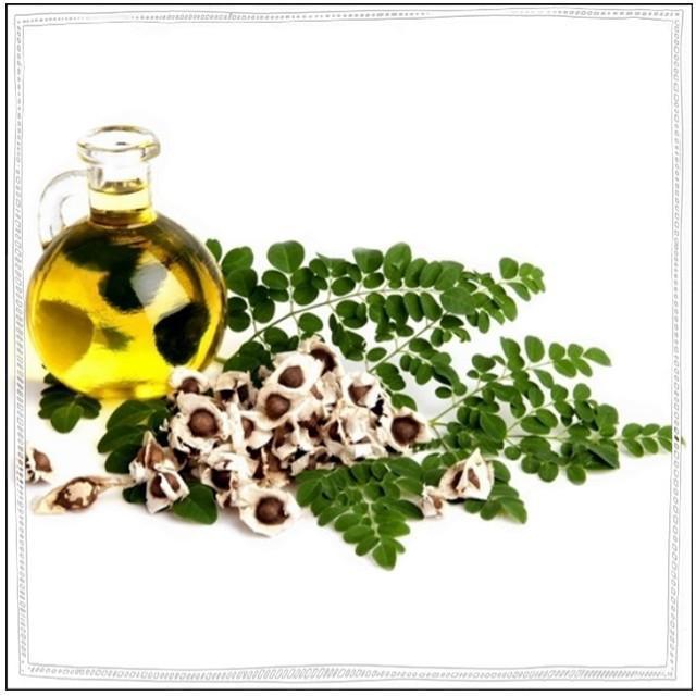 Moringa Oil - Available from 25ml to 1L - Organic Moringa oil in NZ